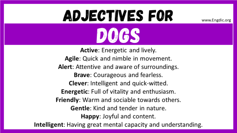 20+ Best Words to Describe Dogs, Adjectives for Dogs - EngDic