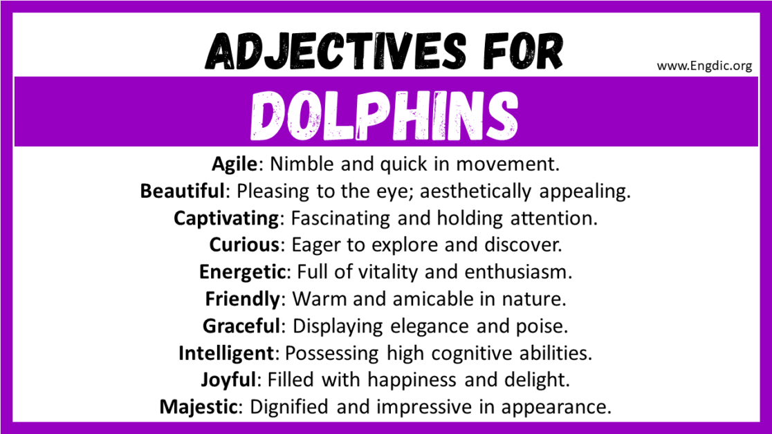 20+ Best Words to Describe Dolphins, Adjectives for Dolphins - EngDic
