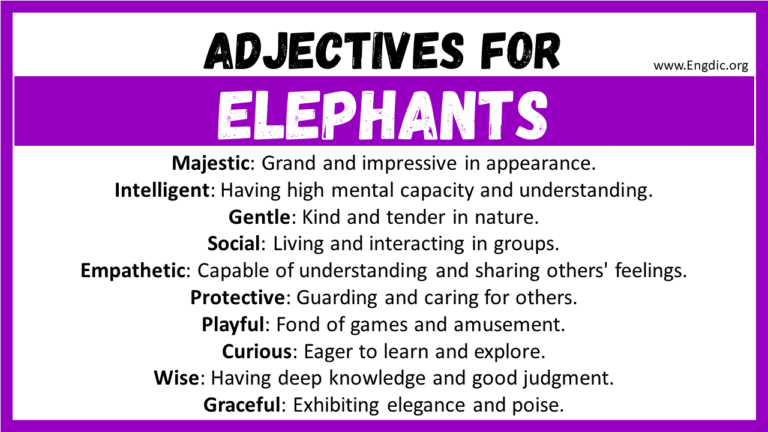 20+ Best Words to Describe Elephants, Adjectives for Elephants - EngDic
