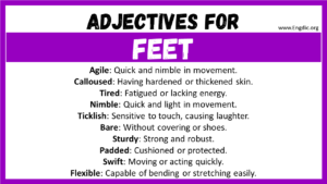 20+ Best Words to Describe Feet, Adjectives for Feet - EngDic