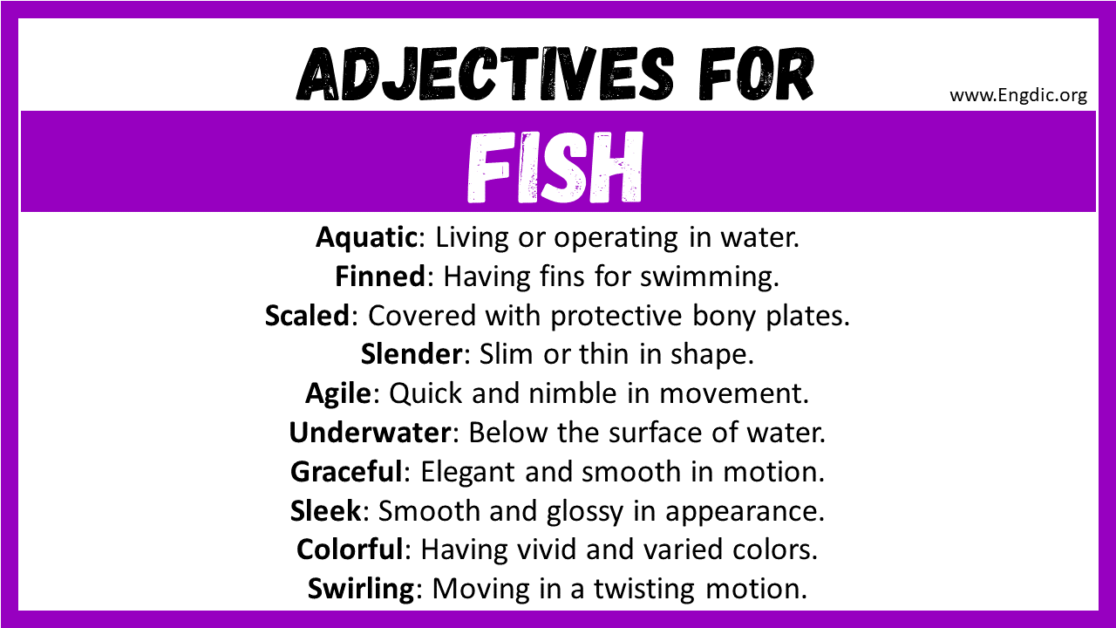 20+ Best Words to Describe Fish, Adjectives for Fish - EngDic