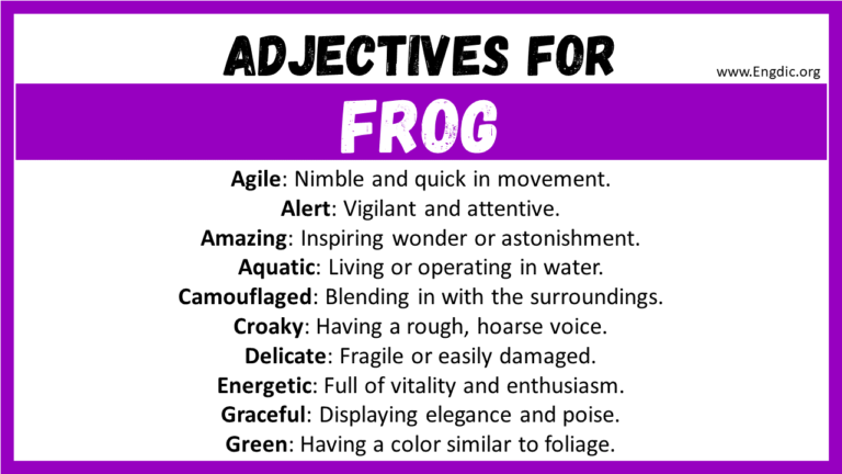 20+ Best Words to Describe Frog, Adjectives for Frog - EngDic