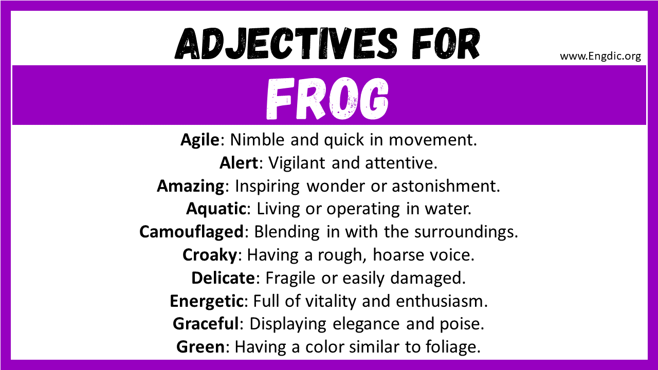 20+ Best Words to Describe Frog, Adjectives for Frog - EngDic