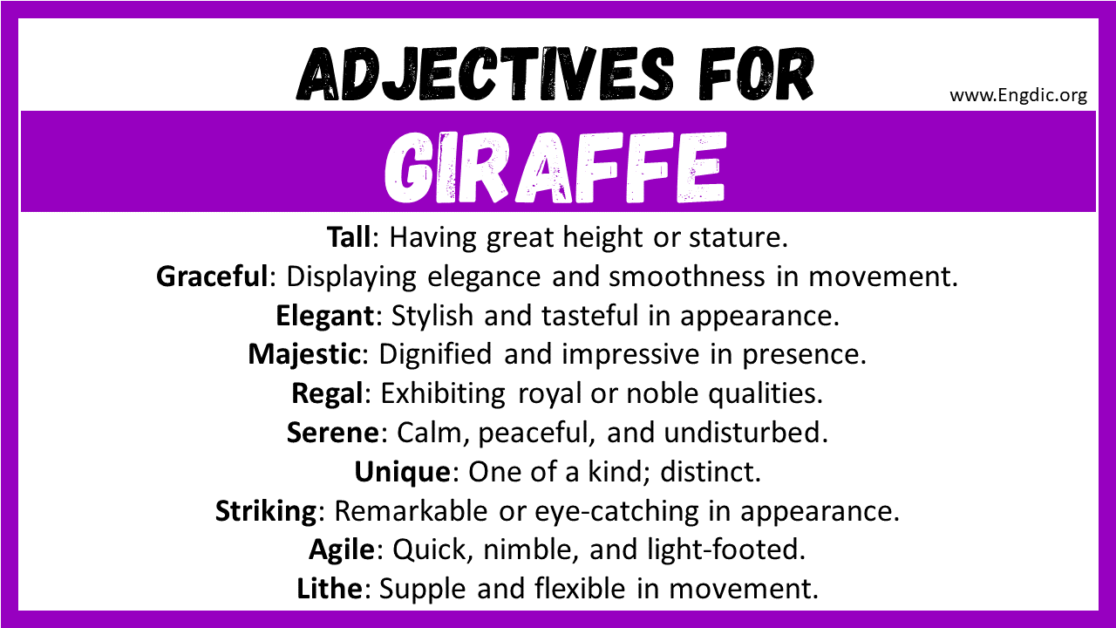 20+ Best Words to Describe Giraffe, Adjectives for Giraffe - EngDic