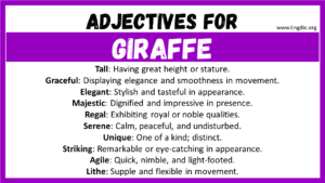 20+ Best Words to Describe Giraffe, Adjectives for Giraffe - EngDic