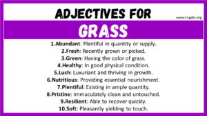 20+ Best Words to Describe Grass, Adjectives for Grass - EngDic