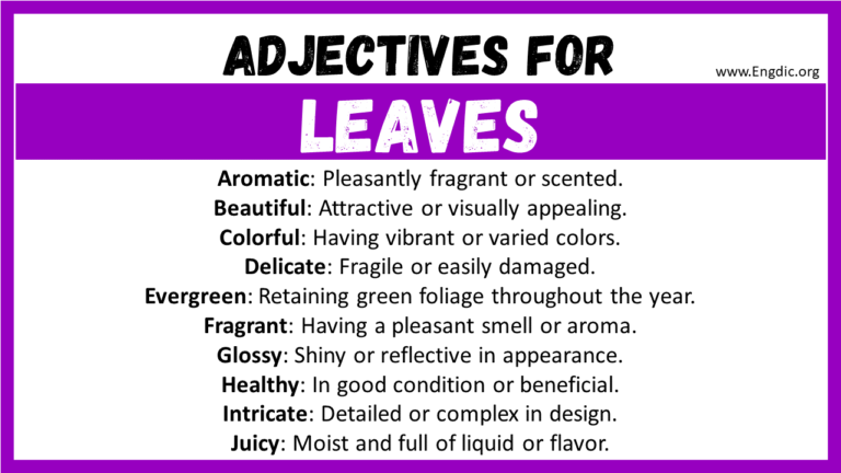 20+ Best Words to Describe Leaves, Adjectives for Leaves - EngDic