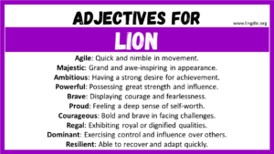 20+ Best Words to Describe Lion, Adjectives for Lion - EngDic