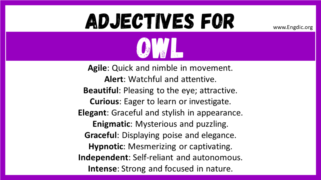 20+ Best Words to Describe Owl, Adjectives for Owl - EngDic