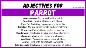20+ Best Words to Describe Parrot, Adjectives for Parrot - EngDic