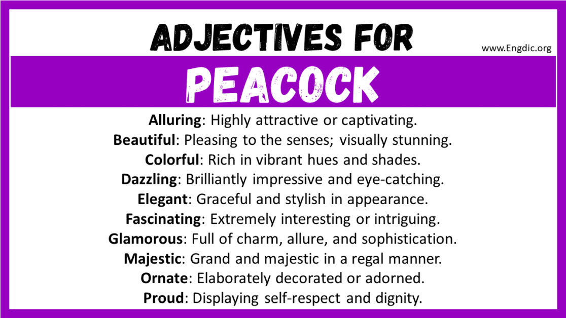 20+ Best Words to Describe Peacock, Adjectives for Peacock - EngDic