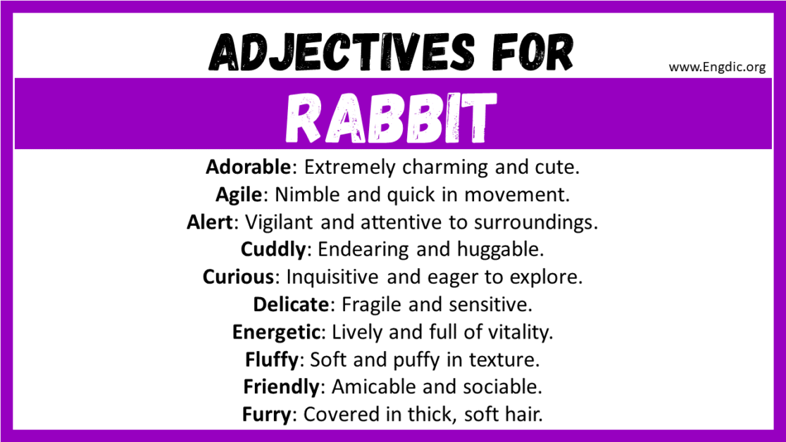 20+ Best Words to Describe Rabbit, Adjectives for Rabbit - EngDic