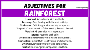 20+ Best Words to Describe Rainforest, Adjectives for Rainforest - EngDic