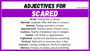 20+ Best Words to Describe Scared, Adjectives for Scared - EngDic