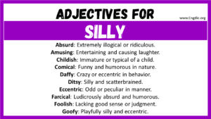 20+ Best Words to Describe Silly, Adjectives for Silly - EngDic
