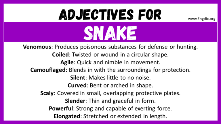 20+ Best Words to Describe a Snake, Adjectives for Snake - EngDic