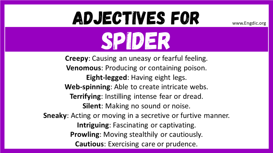 20+ Best Words to Describe Spider, Adjectives for Spider - EngDic