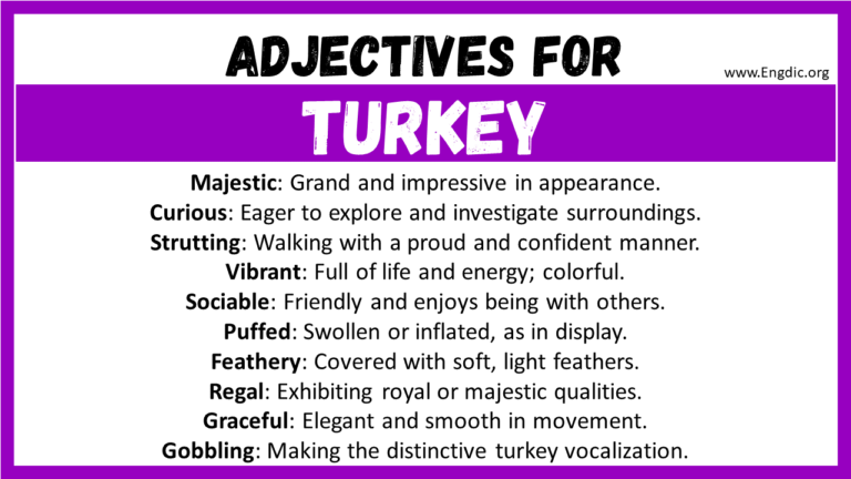 20+ Best Words to Describe Turkey, Adjectives for Turkey - EngDic