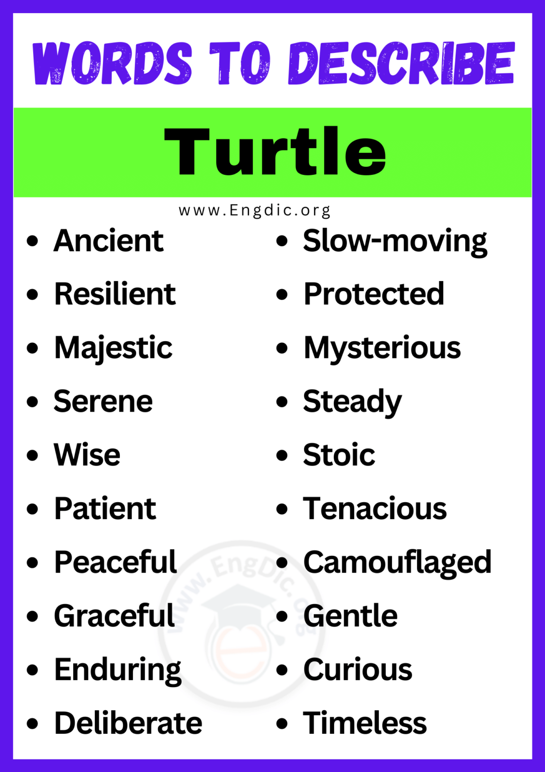 20+ Best Words to Describe Turtle, Adjectives for Turtle - EngDic