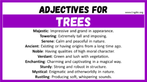 20+ Best Words to Describe a Trees, Adjectives for Trees - EngDic