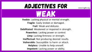 20+ Best Words to Describe a Weak, Adjectives for Weak - EngDic