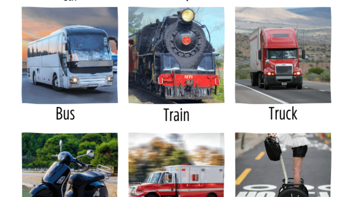 Land Transportation