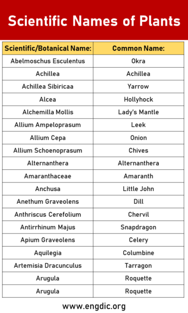 50 Botanical & Scientific Names Of Plants A-Z - EngDic