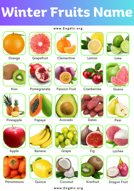 List of All Winter Fruits Name with Pictures - EngDic