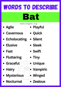 20+ Best Words to Describe Bat, Adjectives for Bat - EngDic