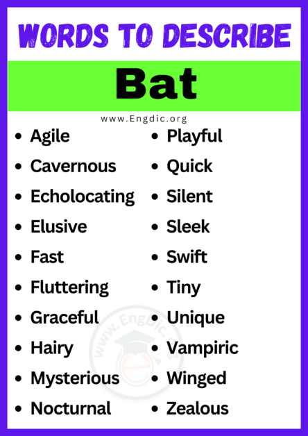 20+ Best Words to Describe Bat, Adjectives for Bat - EngDic