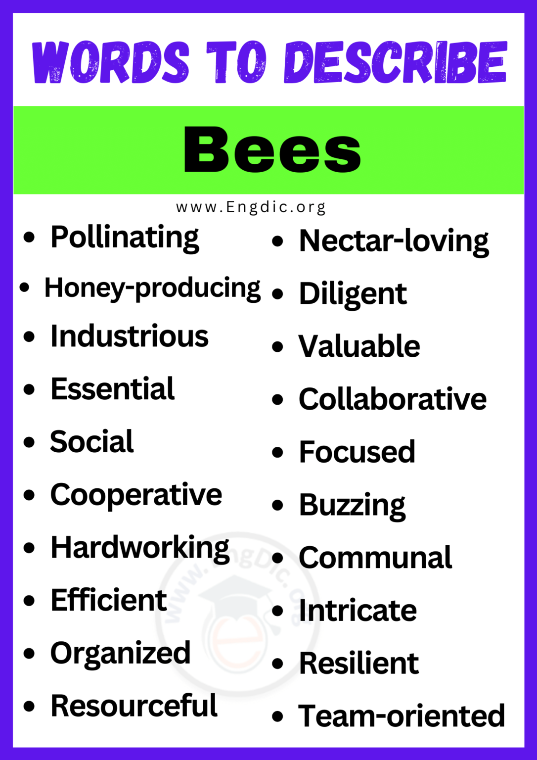 20+ Best Words to Describe Bees, Adjectives for Bees - EngDic
