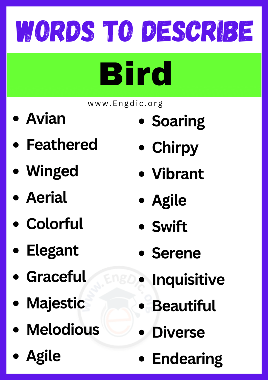20+ Best Words to Describe Bird, Adjectives for Bird - EngDic