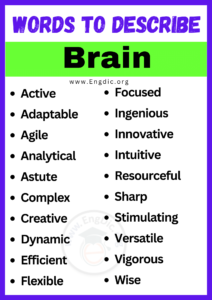 20+ Best Words to Describe Brain, Adjectives for Brain - EngDic