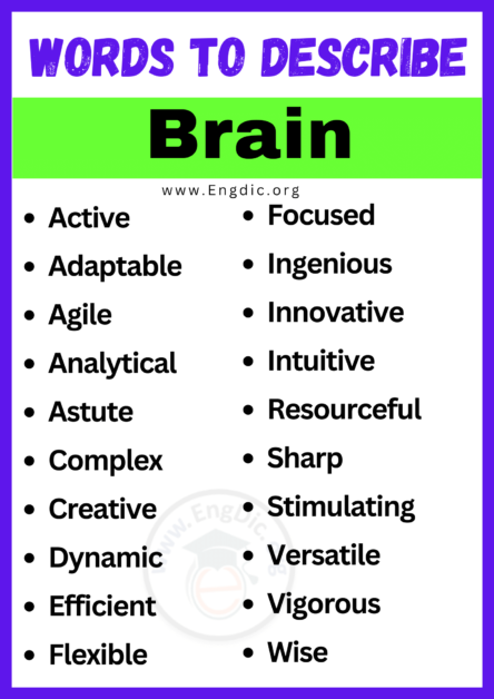 20+ Best Words to Describe Brain, Adjectives for Brain - EngDic