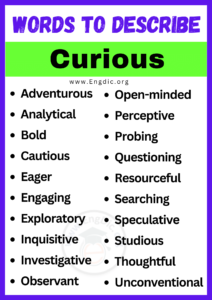 20+ Best Words to Describe Curious, Adjectives for Curious - EngDic