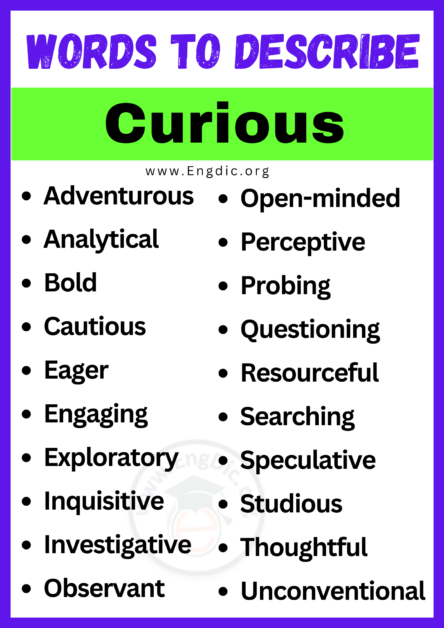 20+ Best Words to Describe Curious, Adjectives for Curious - EngDic