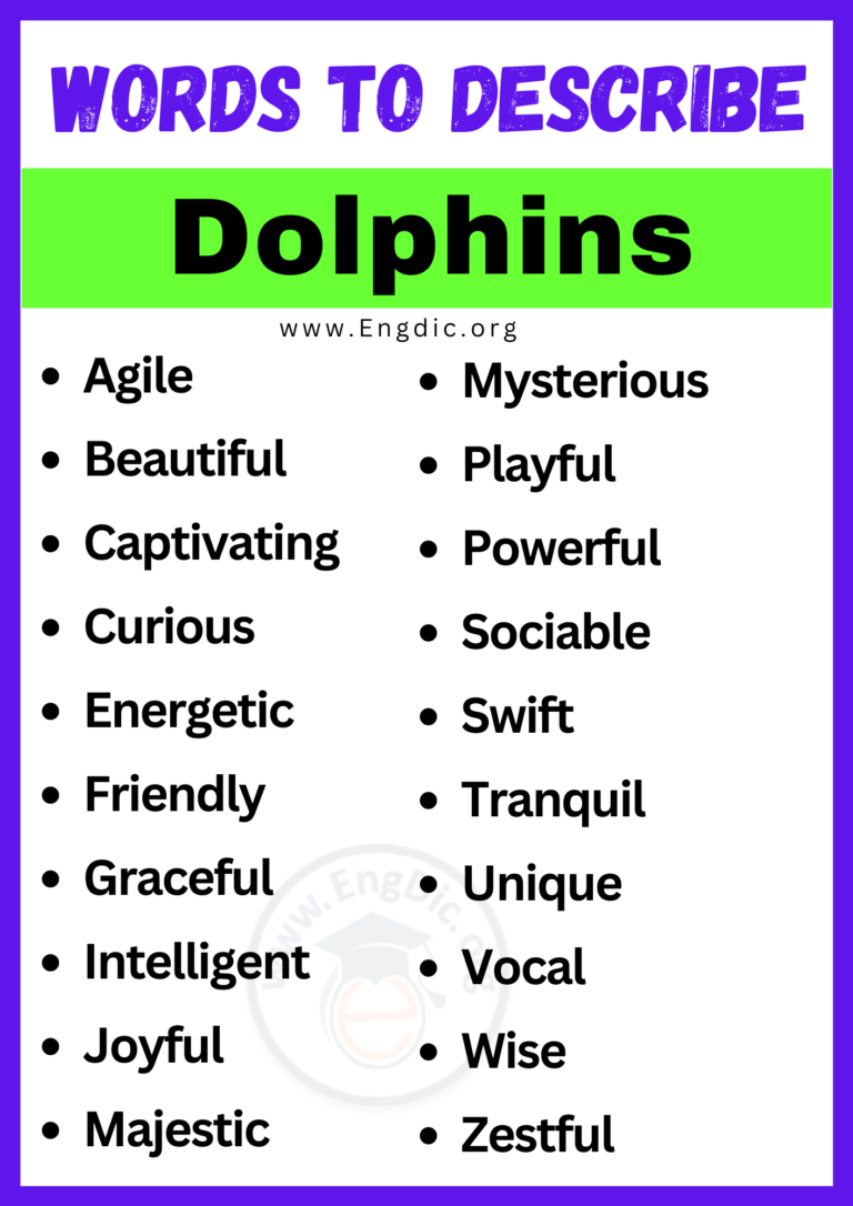 20+ Best Words to Describe Dolphins, Adjectives for Dolphins - EngDic