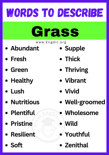 20+ Best Words to Describe Grass, Adjectives for Grass - EngDic
