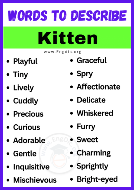 20+ Best Words to Describe Kitten, Adjectives for Kitten - EngDic