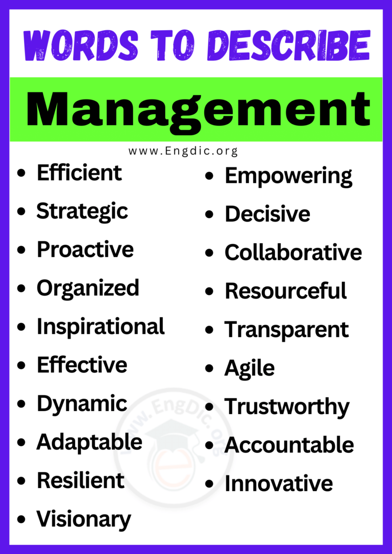 20+ Best Words to Describe Management, Adjectives for Management - EngDic