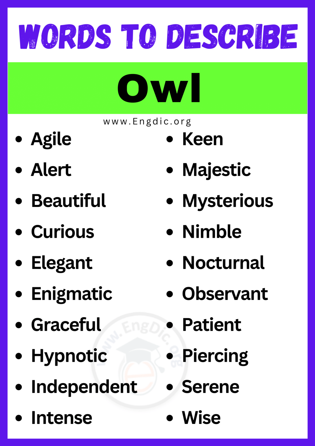 20+ Best Words to Describe Owl, Adjectives for Owl - EngDic