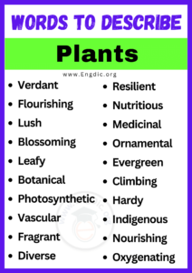 20+ Best Words to Describe Plants, Adjectives for Plants - EngDic