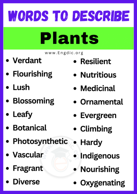 20+ Best Words to Describe Plants, Adjectives for Plants - EngDic