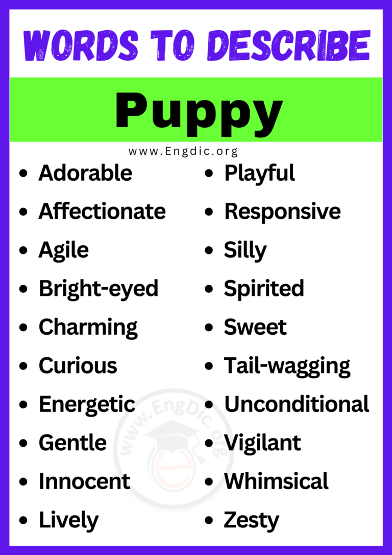 20+ Best Words to Describe Puppy, Adjectives for Puppy - EngDic