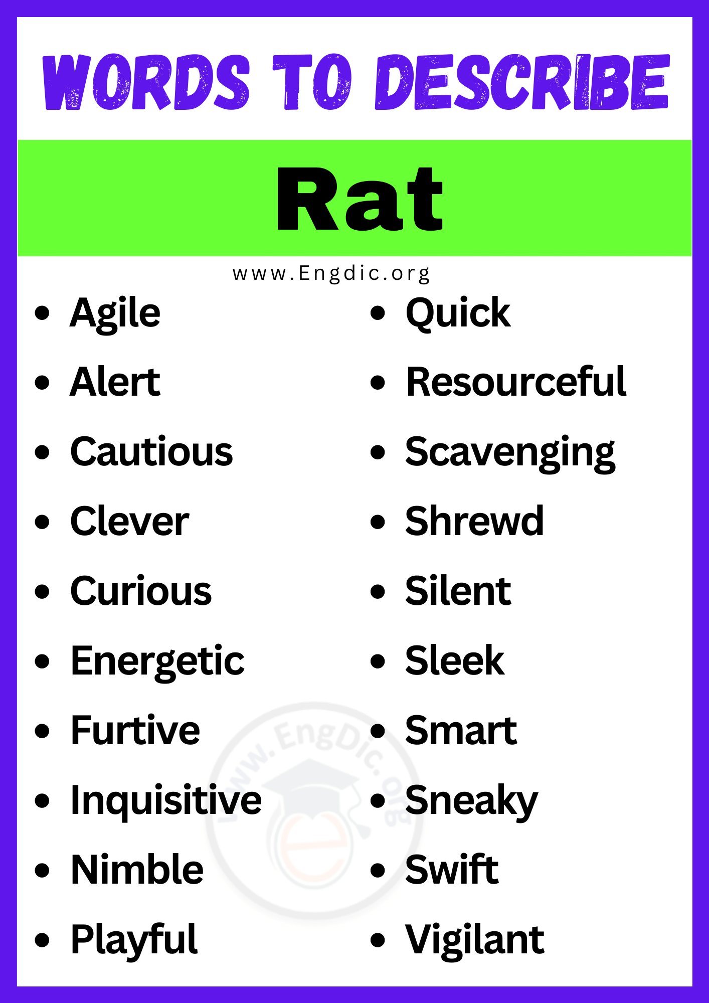 20+ Best Words to Describe Rat, Adjectives for Rat - EngDic