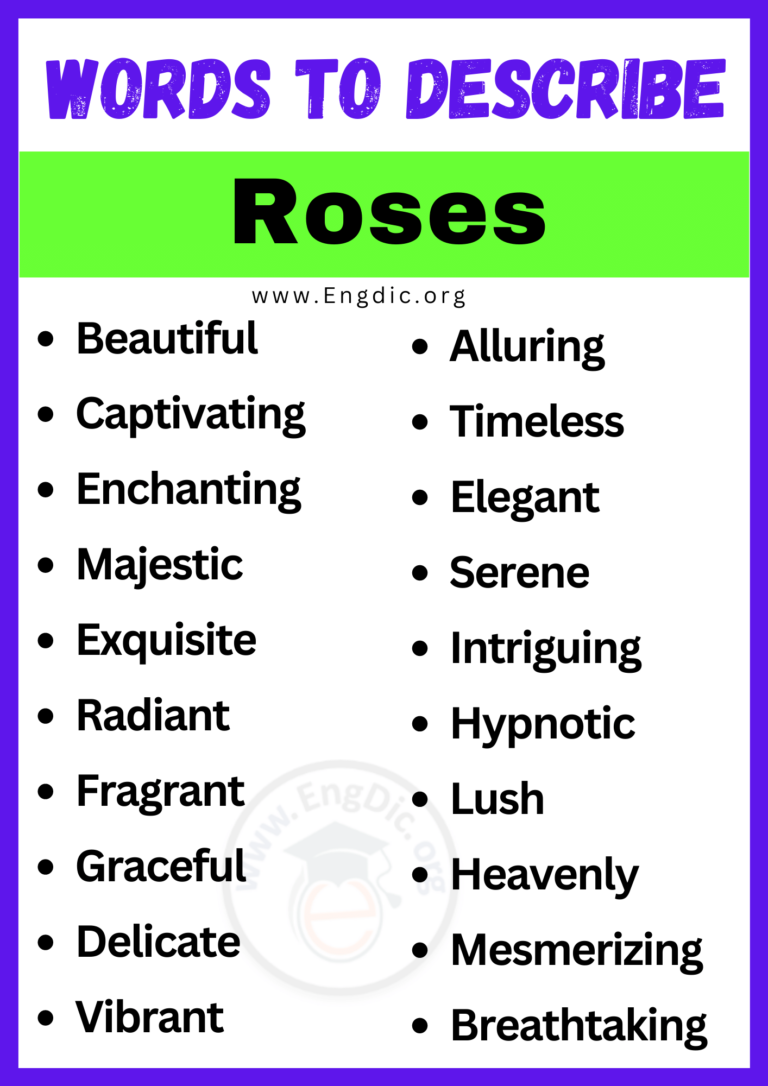 20+ Best Words to Describe Roses, Adjectives for Roses - EngDic
