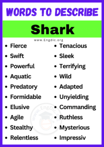 20+ Best Words to Describe Shark, Adjectives for Shark - EngDic