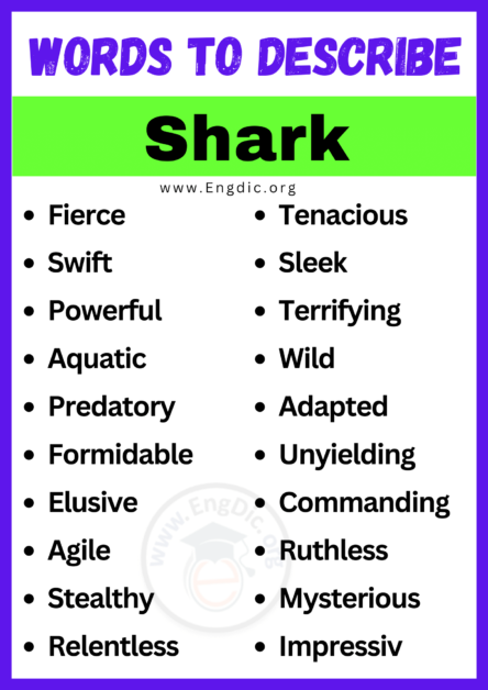 20+ Best Words to Describe Shark, Adjectives for Shark - EngDic