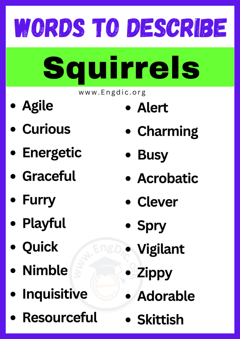 20+ Best Words to Describe Squirrels, Adjectives for Squirrels - EngDic