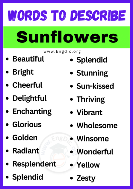 20+ Best Words to Describe Sunflowers, Adjectives for Sunflowers - EngDic